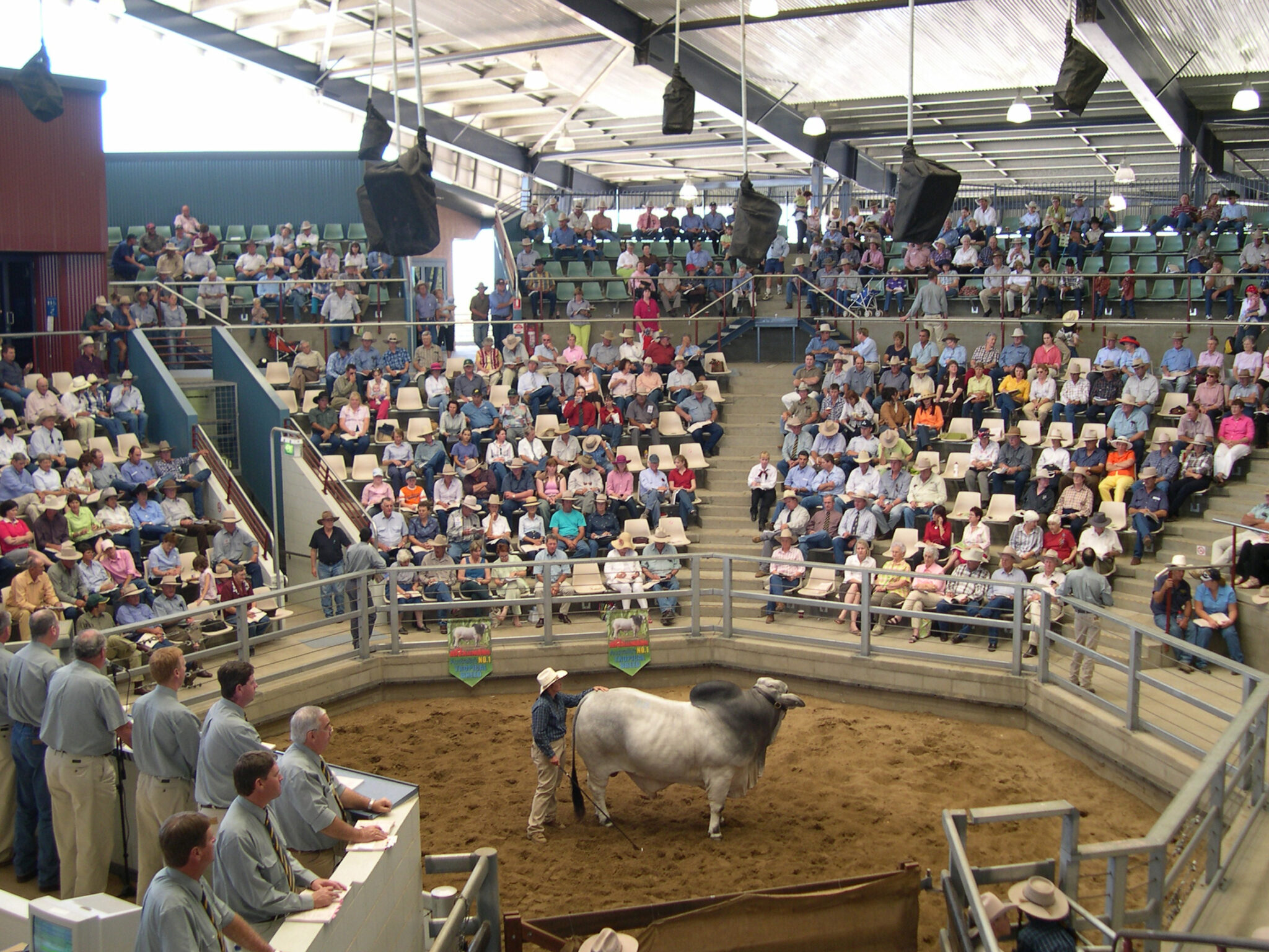 Rockhampton Brahman Week Sale - Australian Brahman Breeders Association