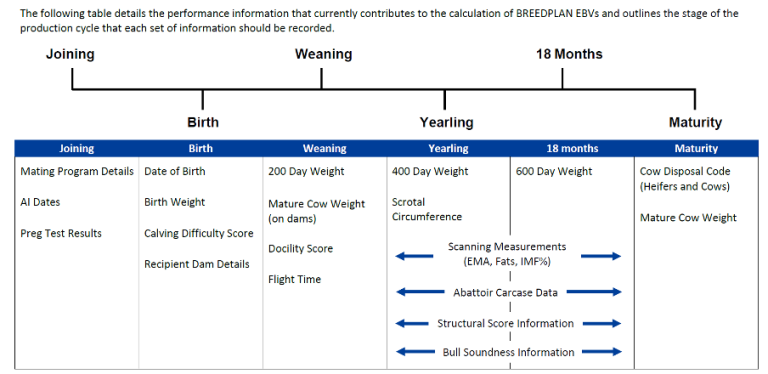 Breedplan Overview - Australian Brahman Breeders Association