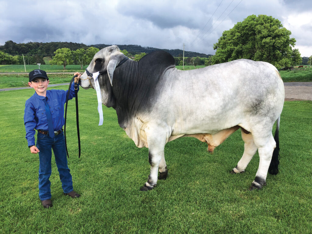 Daniel’s drive and passion for breed evident from young age ...
